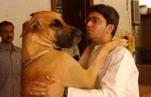 यह है राज ठाकरे का वह वफादार कुत्ना जिसने पत्नी को दिए गहरे जख्म, लगें ...