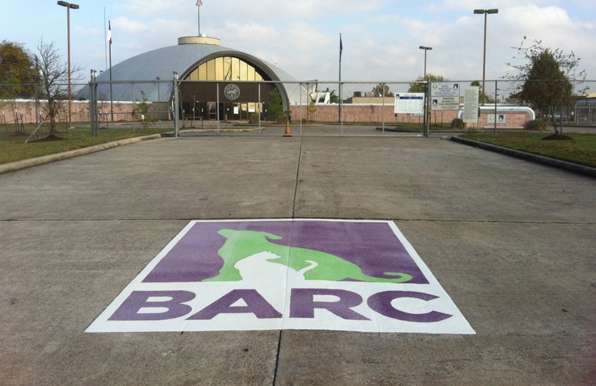 BARC:OCES DGFS 2016 के परिणाम घोषित, barconlineexam.in पर देखें नतीजे ...