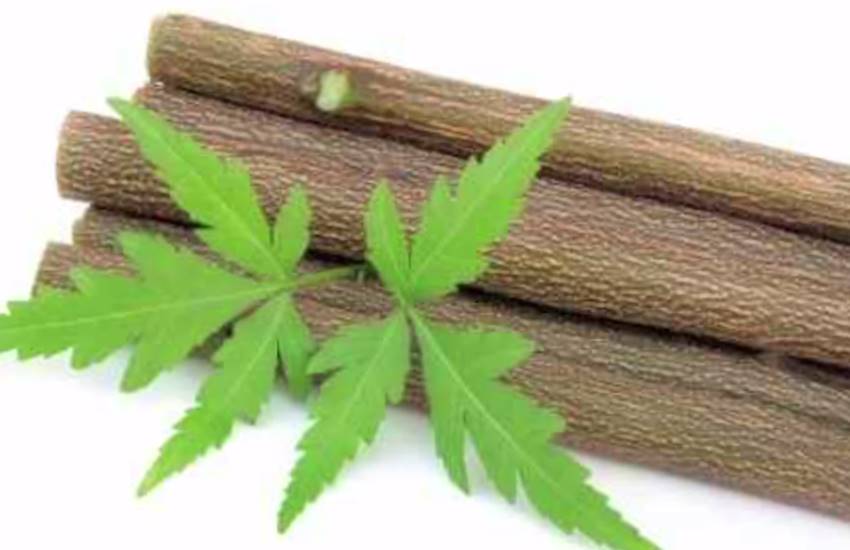 दांतों के लिए दातुन से बेहतर कुछ नहीं, जानिए क्या-क्या हैं इनके फायदे ...