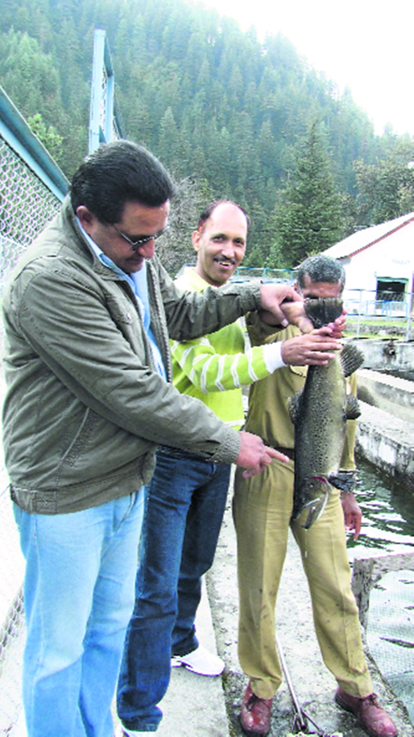 108 साल की हुई ट्राउट मछली | Jansatta