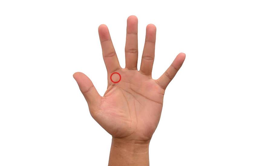 हस्तरेखा शास्त्र: बृहस्पति पर्वत पर बने विभिन्न चिह्न खोलते हैं ये राज ...