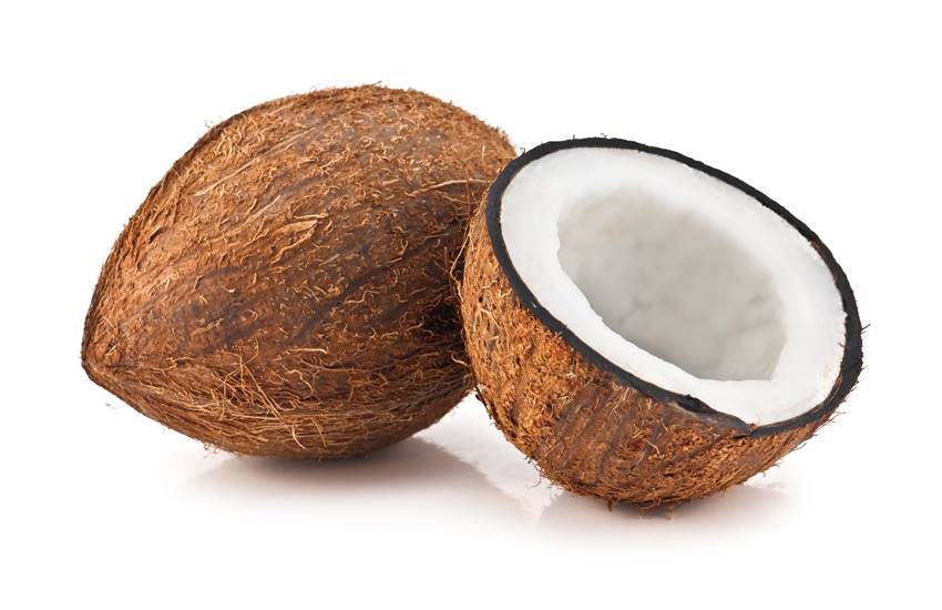 पूजा-पाठ में प्रयोग किया जाता है नारियल, जानिए कैसे हुई इसकी उत्पत्ति ...