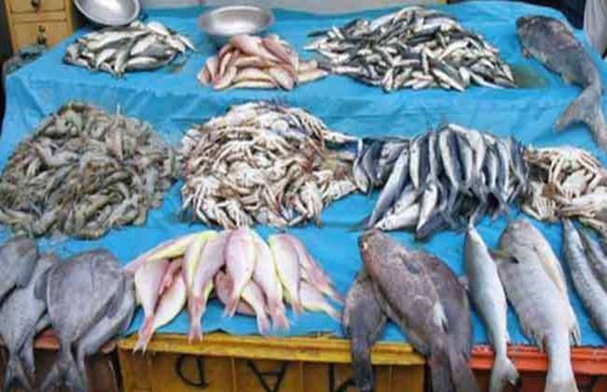 VIDEO: जैसे ही खुला मछली बाजार, उमड़ पड़े लोग, सोशल डिस्टेंसिंग की ...