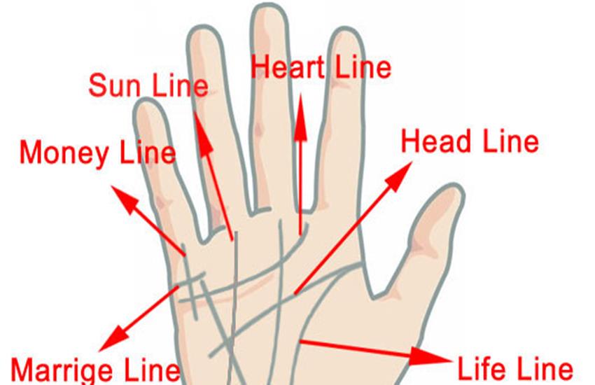 Hand Lines: आर्थिक तौर पर कितने मजबूत होंगे आप, जानिए हाथ की इस रेखा से ...