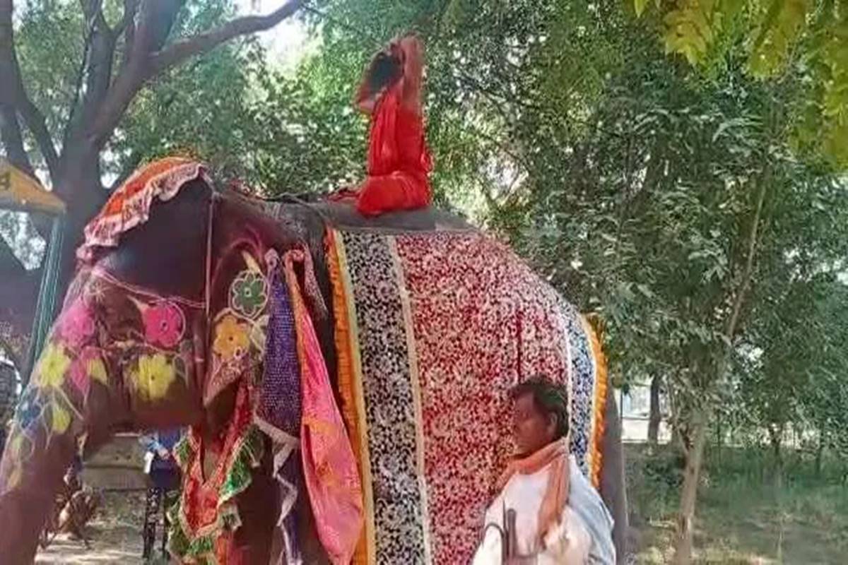 हाथी पर बैठ योग कर रहे थे बाबा रामदेव, बैलेंस बिगड़ा और गिर पड़े नीचे ...