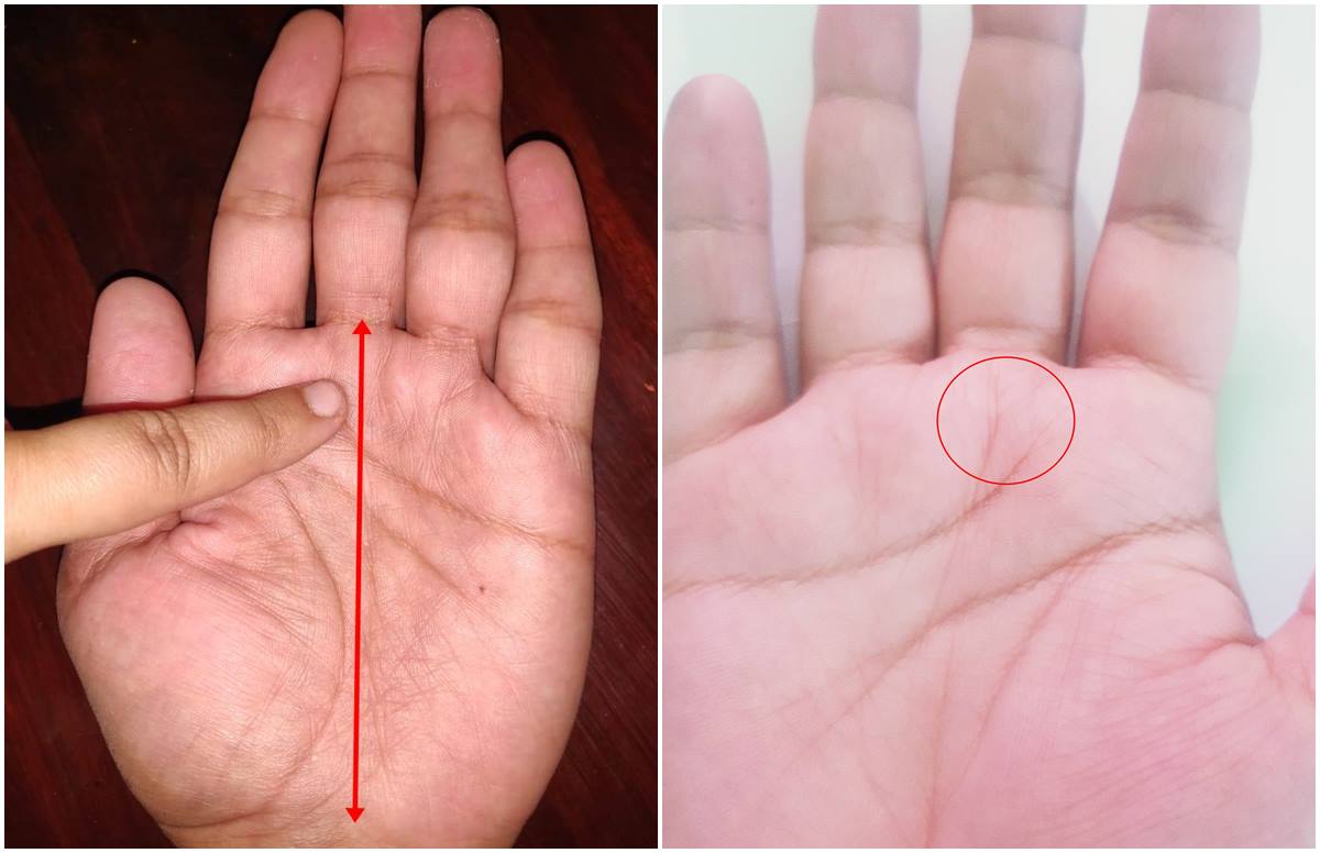 Shani Line In Hand: आपके करियर के बारे में बताती है हाथ में मौजूद शनि ...