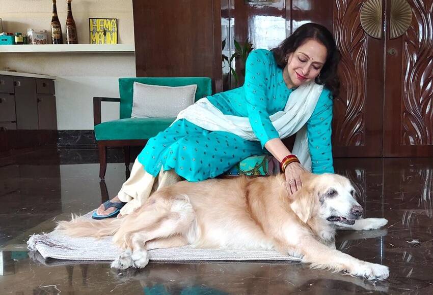 Yogi AdtiyaNath Vs Lalu Prasad Yadav: Hema Malini to Subramaniam Swamy ...