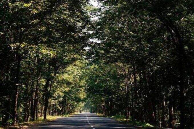 jansatta chaupal and readers opinion on roads and environment - सुविधा ...