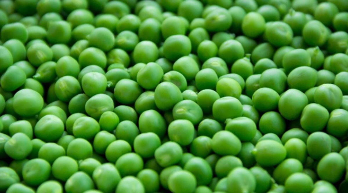 Try These Test To Identify Color Adulteration In Green Peas By FSSAI ...