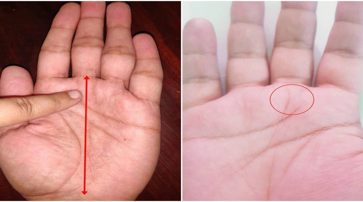 Luck Line In Hand: Such a fate line is considered auspicious, Mother ...