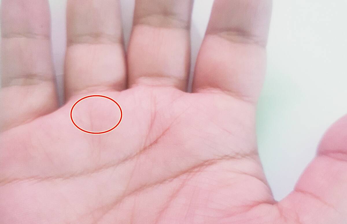 palmistry-hand-line-prediction-this-line-in-hand-brings-good-wealth-and ...