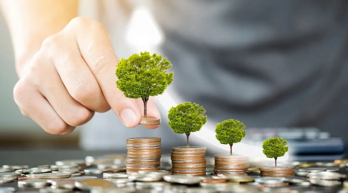 Which Are Giving More Returns On Fixed Deposit In SBI HDFC And BOB which-are-giving-more-returns-on-fixed-deposit-in-sbi-hdfc-and-bob