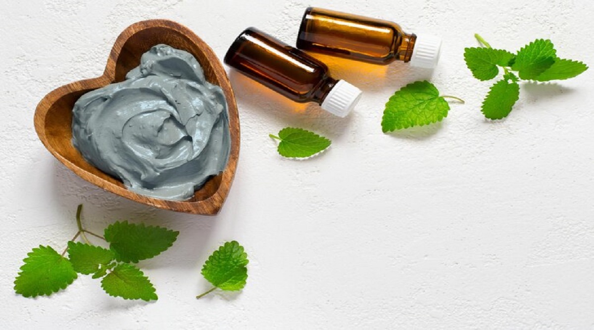mint Homemade face pack for summer know how to make it at home-Skin ...