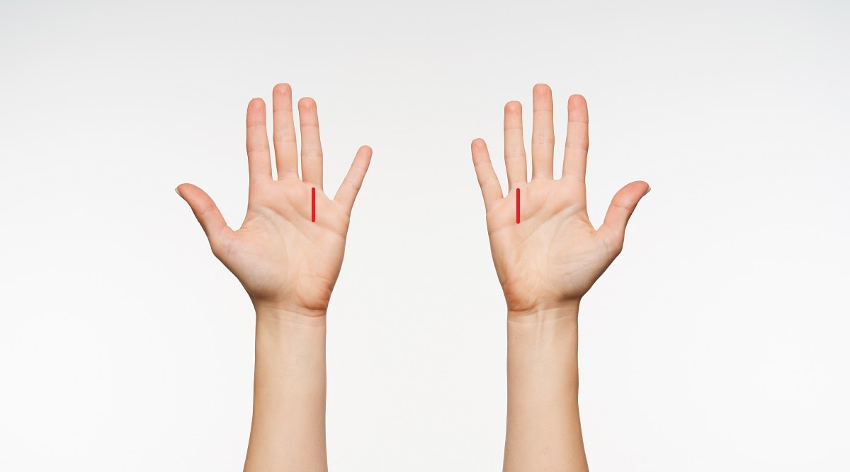 sun line in the palm shows age including wealth Know what your line ...