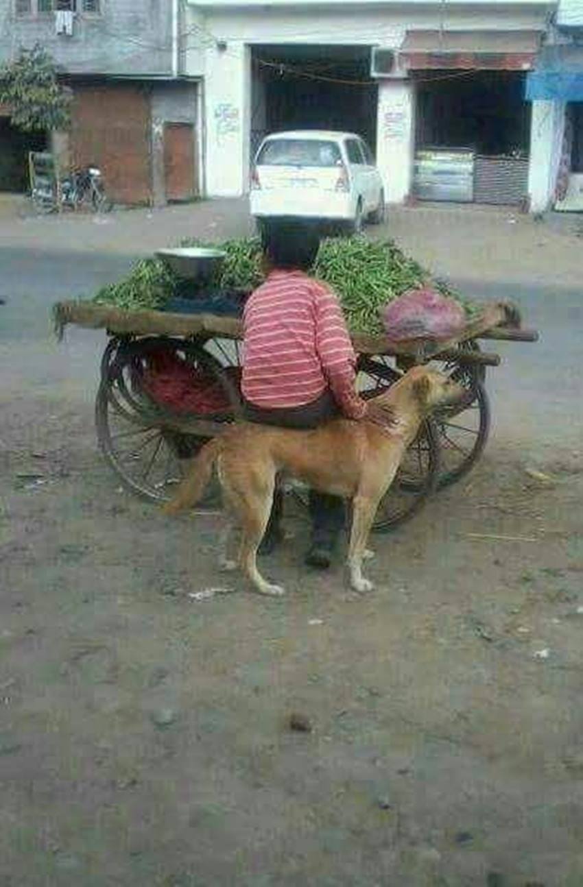 funny photos of indians make you laugh and think about jugaad ...