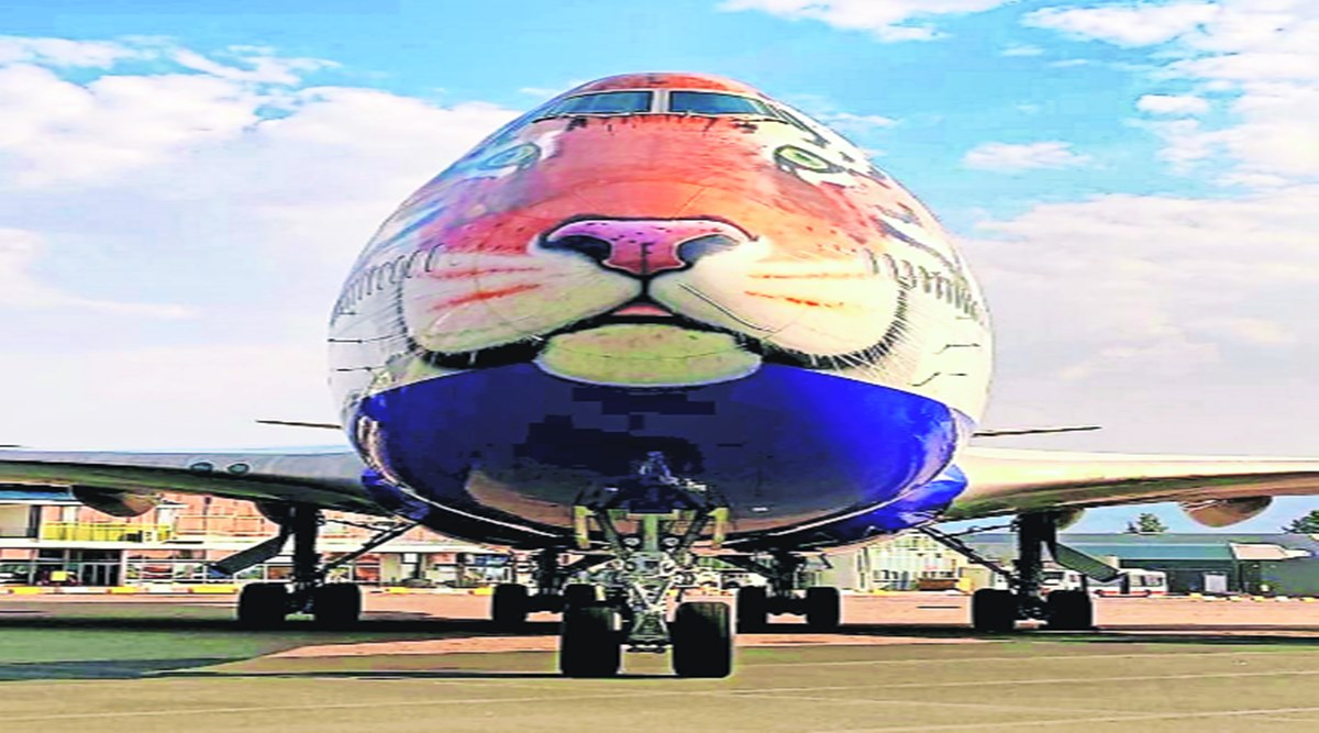 आठ चीते भारत लाने के लिए नामीबिया पहुंचा विशेष बी 747 विमान- Special ...