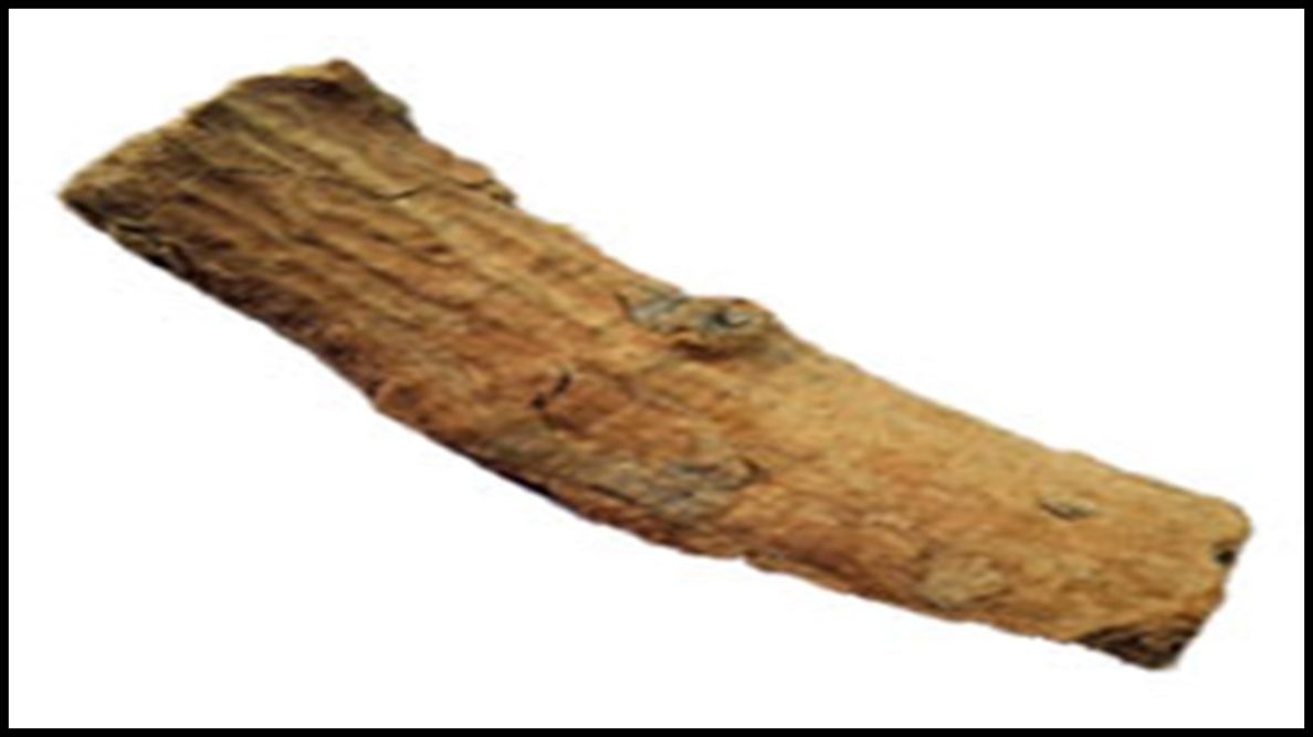 Know the amazing benefits of tree roots it work like ruby gemstones ...