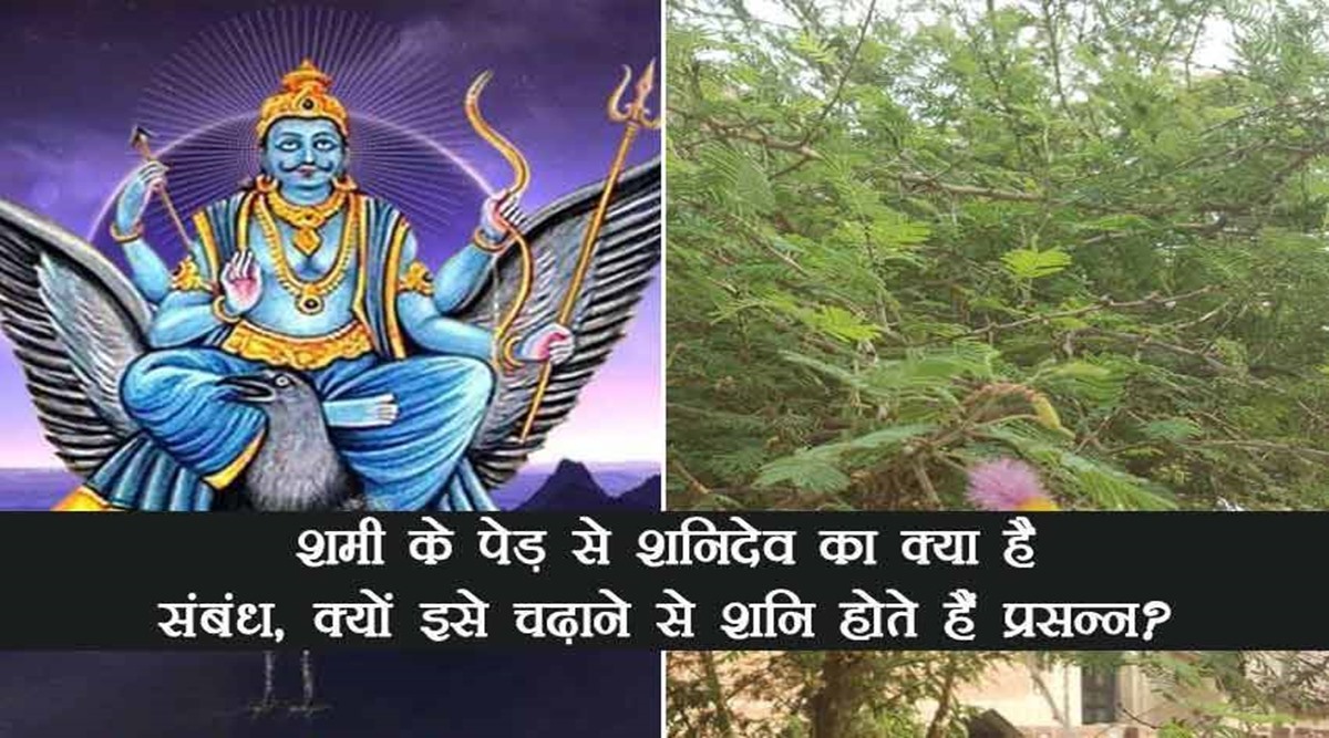 know the Amazing benefits of tree roots it work like neelam gemstones ...