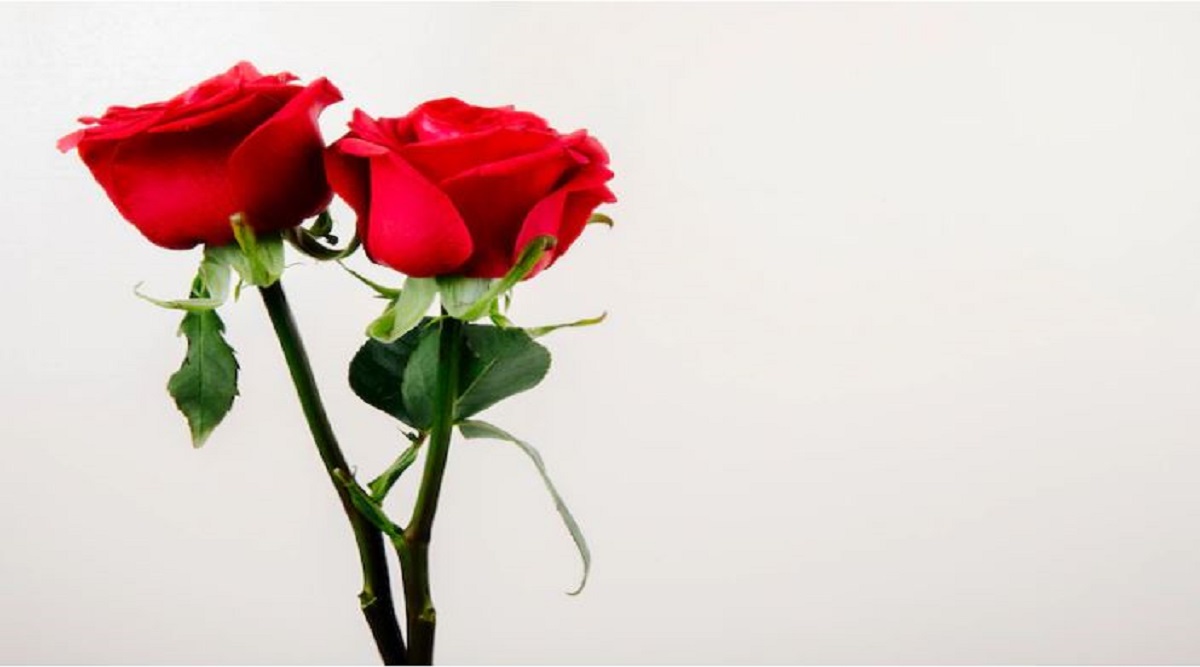 Astrology Worship Shani Dev and Hanuman with these flowers it is ...