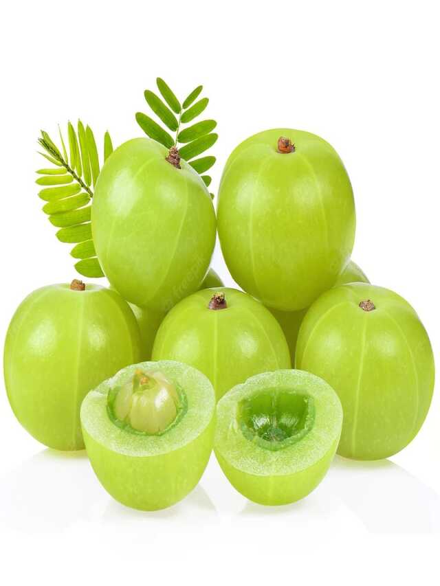 सर्दियों में आंवला है ‘सेहत का खजाना’, जानें कैसे? | Jansatta