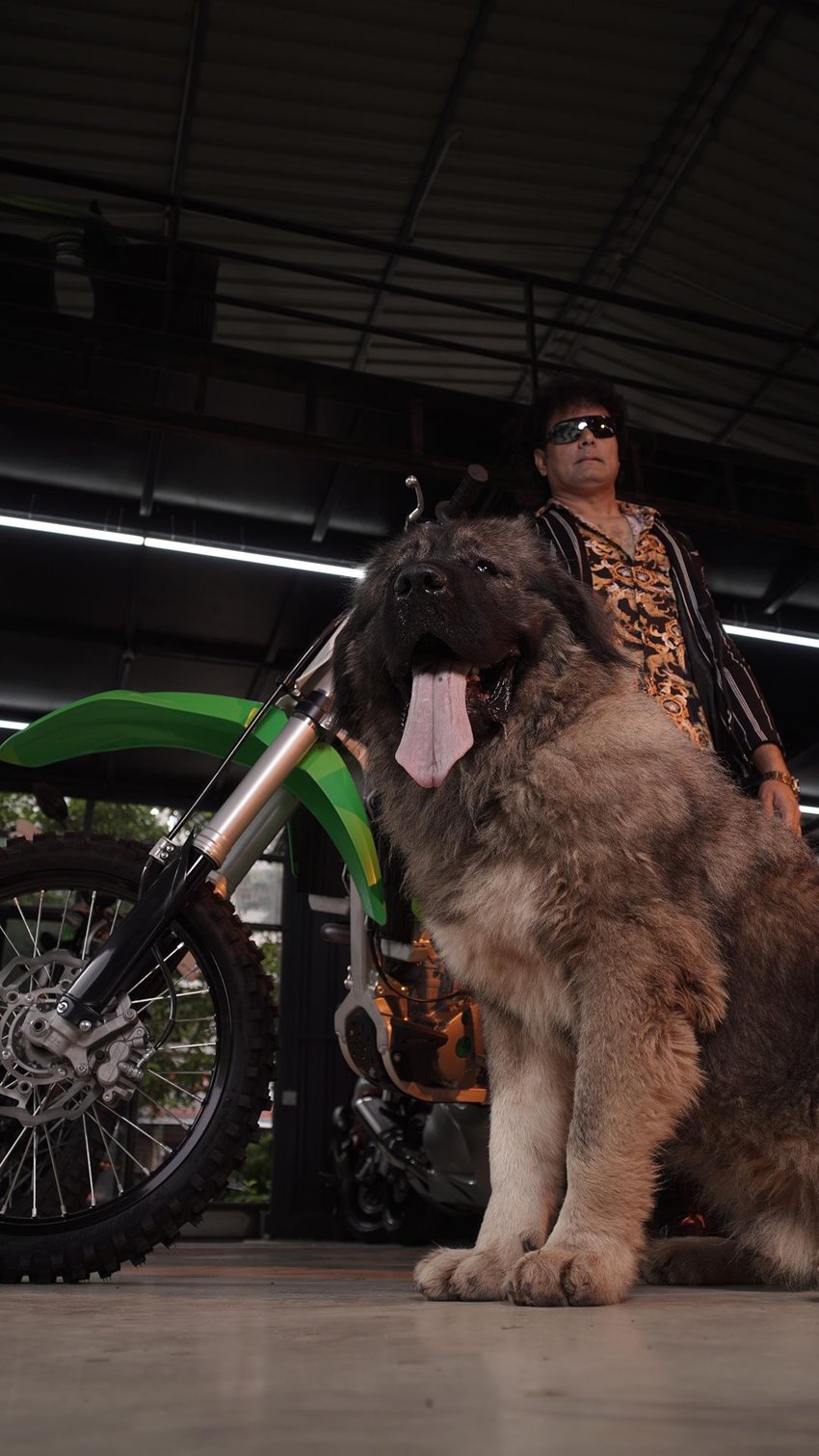 Bengaluru man offered 20 crore for his Caucasian Shepherd dog, Know qualities of this dog - 20 ...