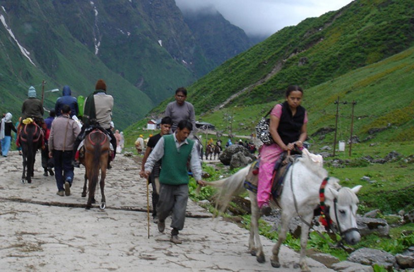 केदारनाथ यात्रा : घोड़े-खच्चरों की निगरानी के लिए जवान रहेंगे तैनात ...