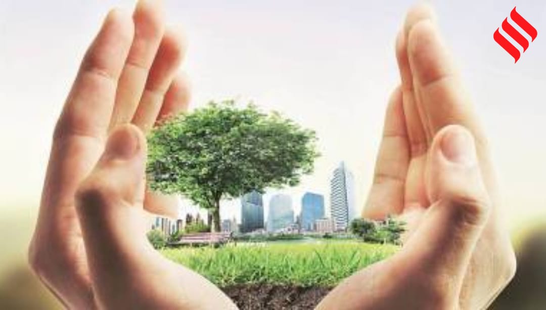 Development vs Environment | Jansatta