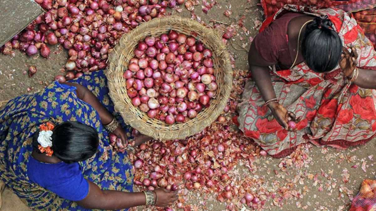 Modi govt imposes 40 duty on onion exports till december 31-टमाटर के बाद अब रुलाएगा प्याज? पहले ...