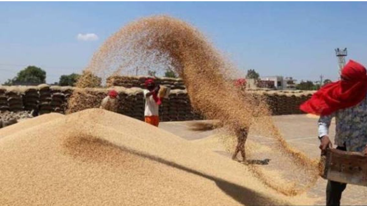 Grain rotting poor storage million tonnes of food grains wasted ...