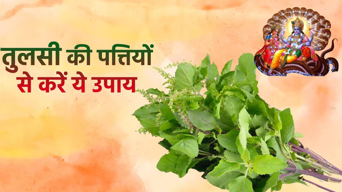 Tulsi Upay। Tulsi Totke। Tusli Leaves Upay। vaishakh Maas upay। तुलसी उपाय। तुलसी की पत्तियों से ...