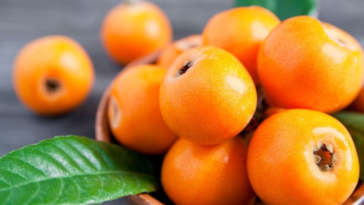 know the benefits of loquat fruit to control bad cholesterol and ...