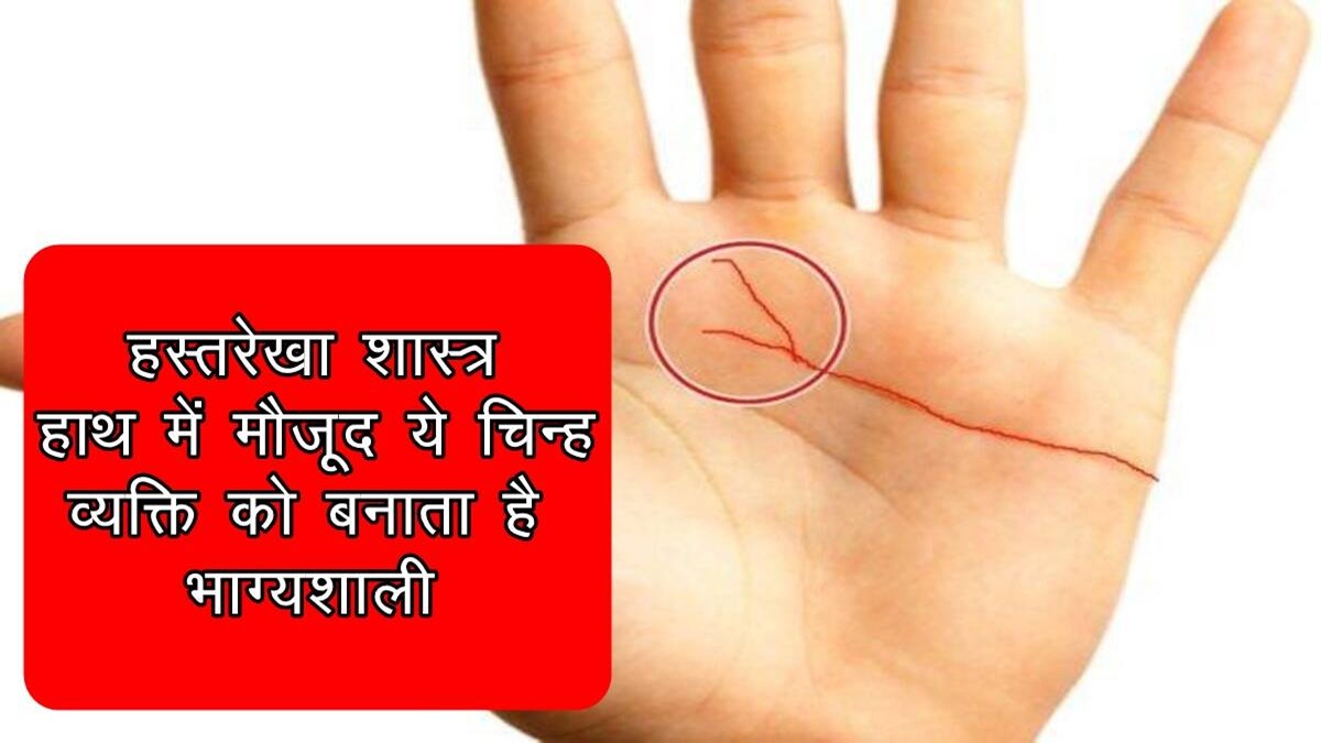 palmistry related to career hast rekha shastra know about your career ...