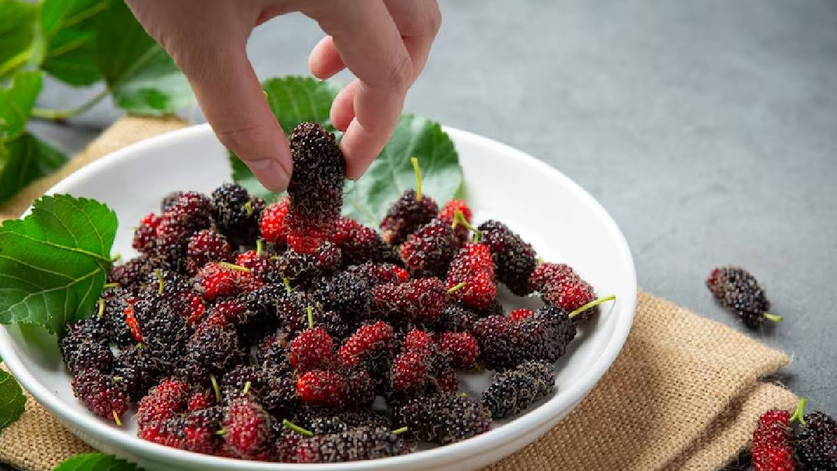 Benefits Of Shahtoot।health benefits of mulberry। Shahtoot Ke Fade ...