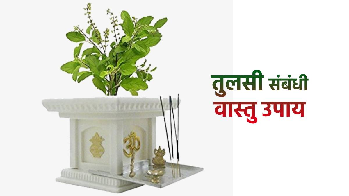 Vastu Tips For Tulsi। lतुलसी के पौधे में बांधे पीला धागा। तुलसी के उपाय। Tulsi Upay | Jansatta