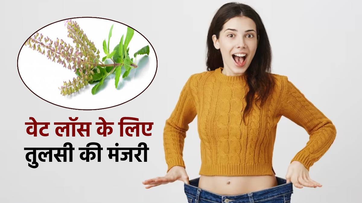 Tulsi Manjari For Weight loss। वजन कम करने के लिए ऐसे करें तुलसी की मंजरी का सेवन। Health ...