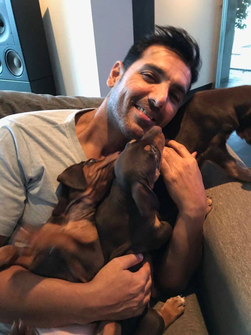 Deepika Padukone to Shahid Kapoor, Bollywood celebrities who were cheated on by their partners ...