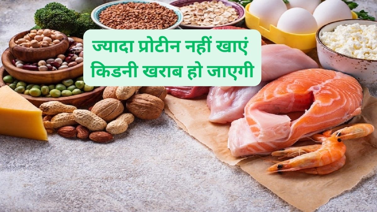 high protein diet can damage kidney know how much protein is enough for ...