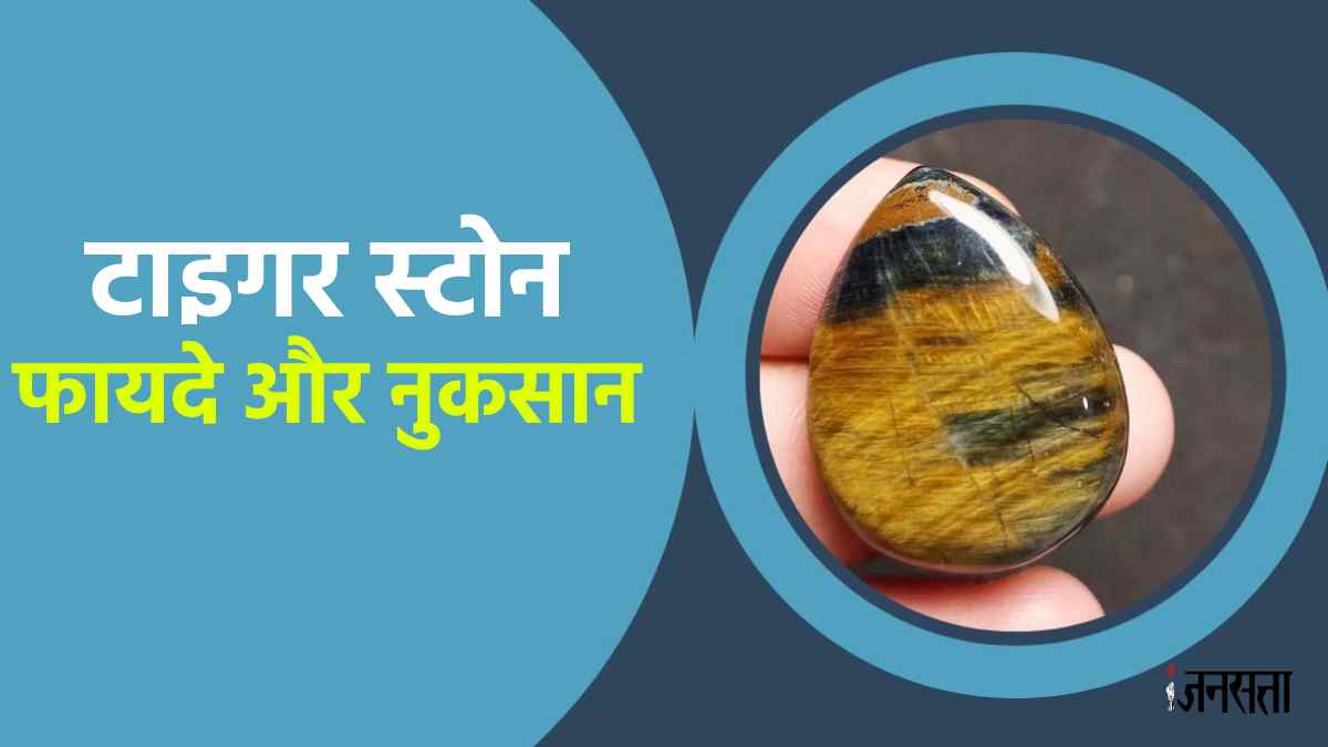 Tiger Stone Benefits। auspicious of Tige Stone। Tige Stone Ke Nuksan ...