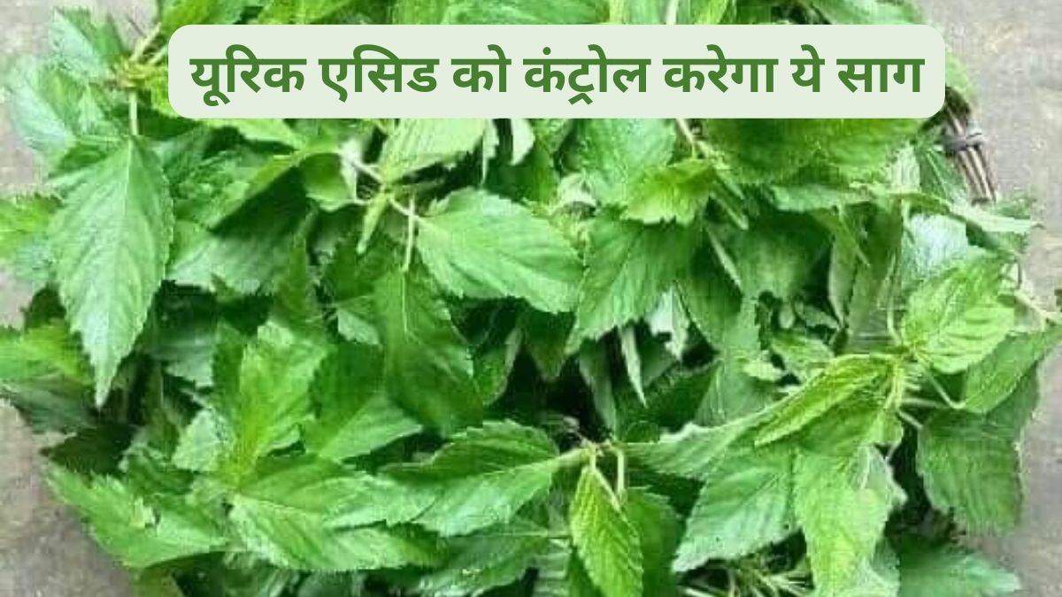 amazing benefits of pattashaak for uric acid control, it can reduce ...