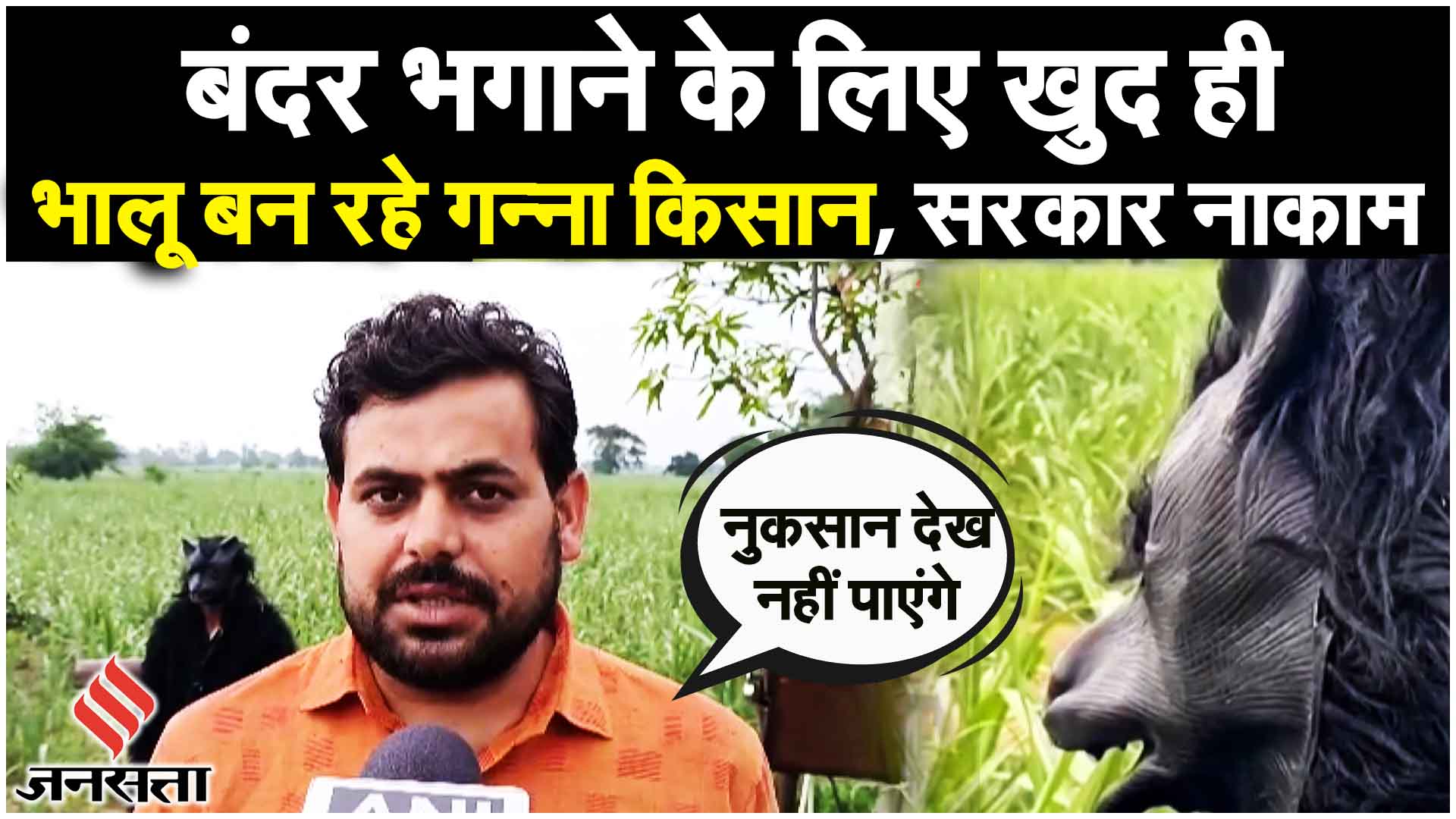 Lakhimpur News Farmers distress over rampant monkeys attacking farms as ...