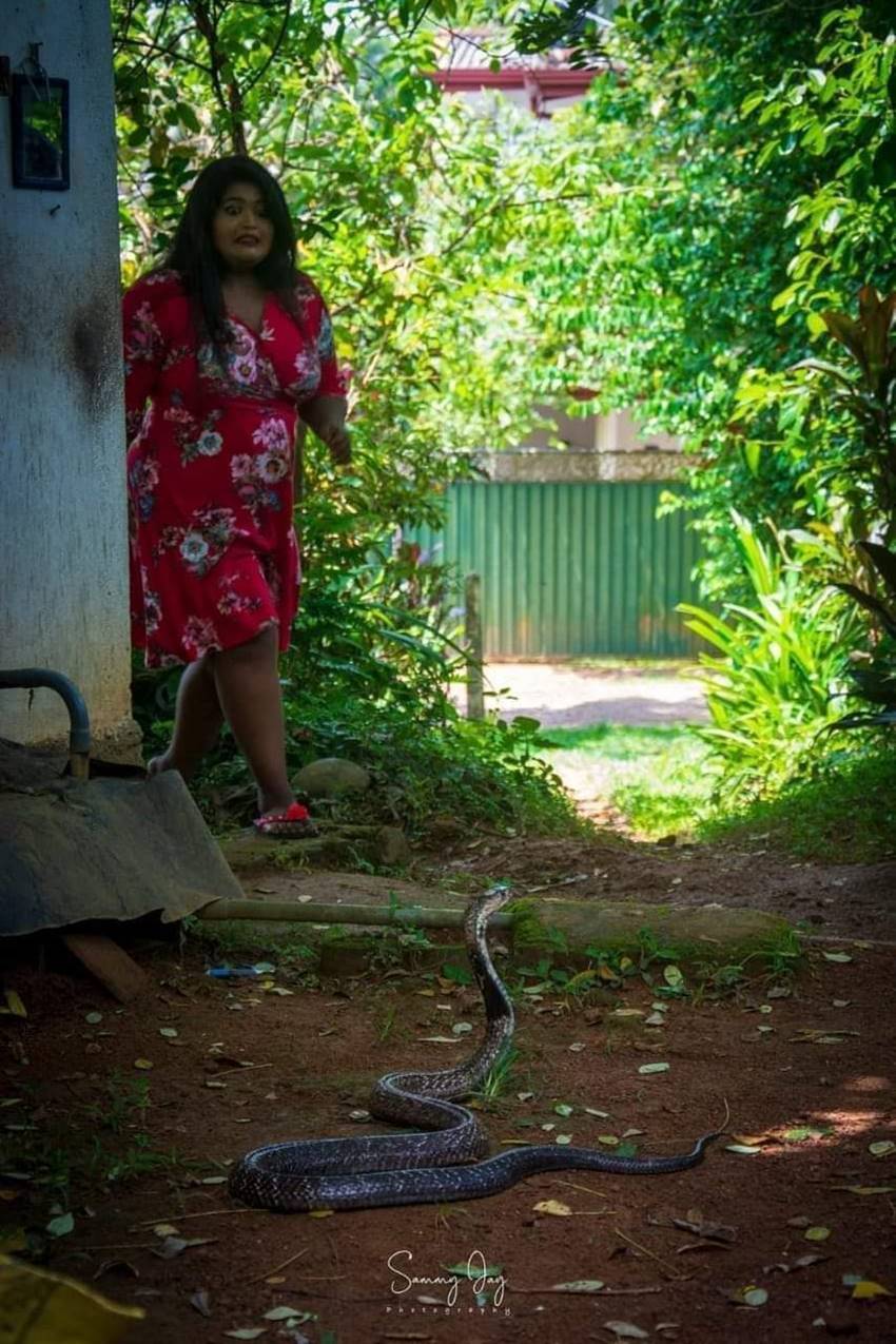 Couple's pre-wedding photoshoot with snake goes viral, netizens says ...