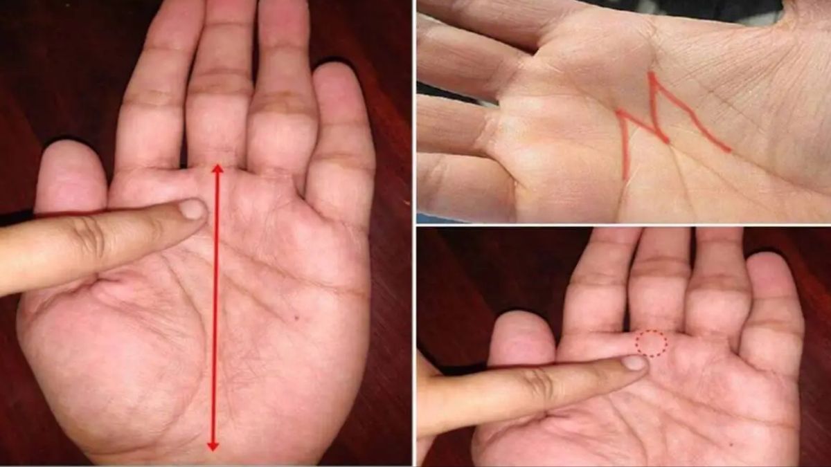 shankh yog hath me shankh yog-Palmistry: भाग्यशाली लोगों के हाथ में ...