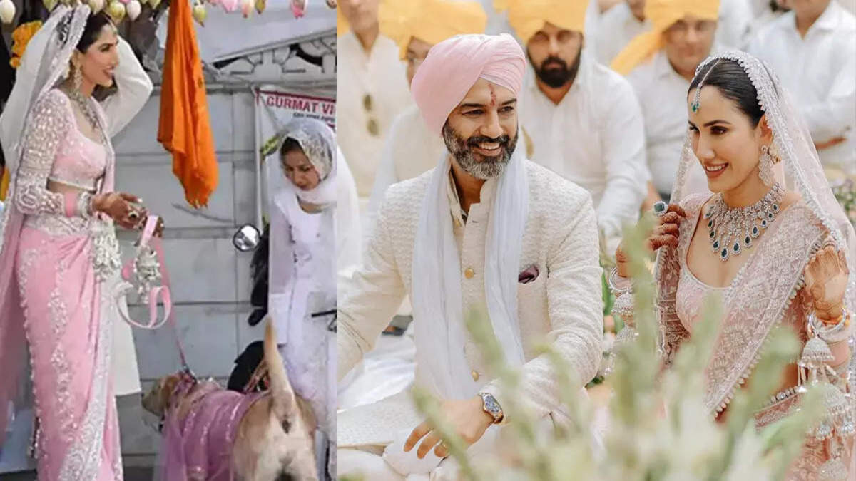 Pyaar Ka Punchnama fame Sonali Sehgal, Kartik Aryan along with these ...