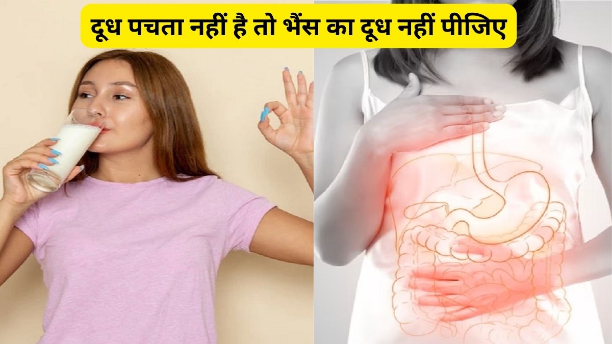 Is milk heavy to digest? according to medical science, consume these 2 ...
