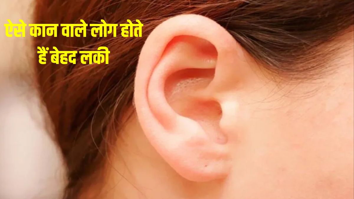 samudrik shastra big ear meaning shape of ear-ऐसे कान वाले लोग होते हैं ...