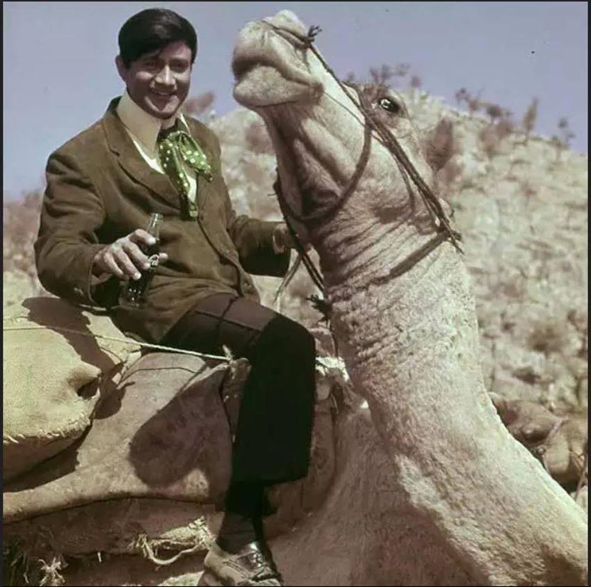 Dev Anand love life, He got married during lunch break of Taxi Driver ...