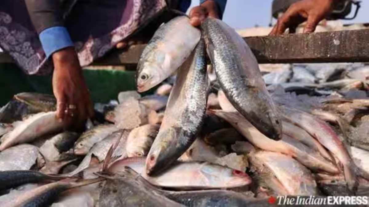 Woman got infection after eating tilapia fish hands and legs had to be ...