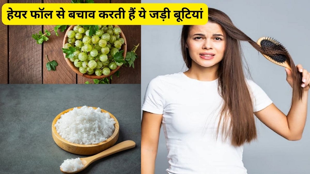 Is ayurvedic home remedies is effective of hair fall? Amla, ghee ...