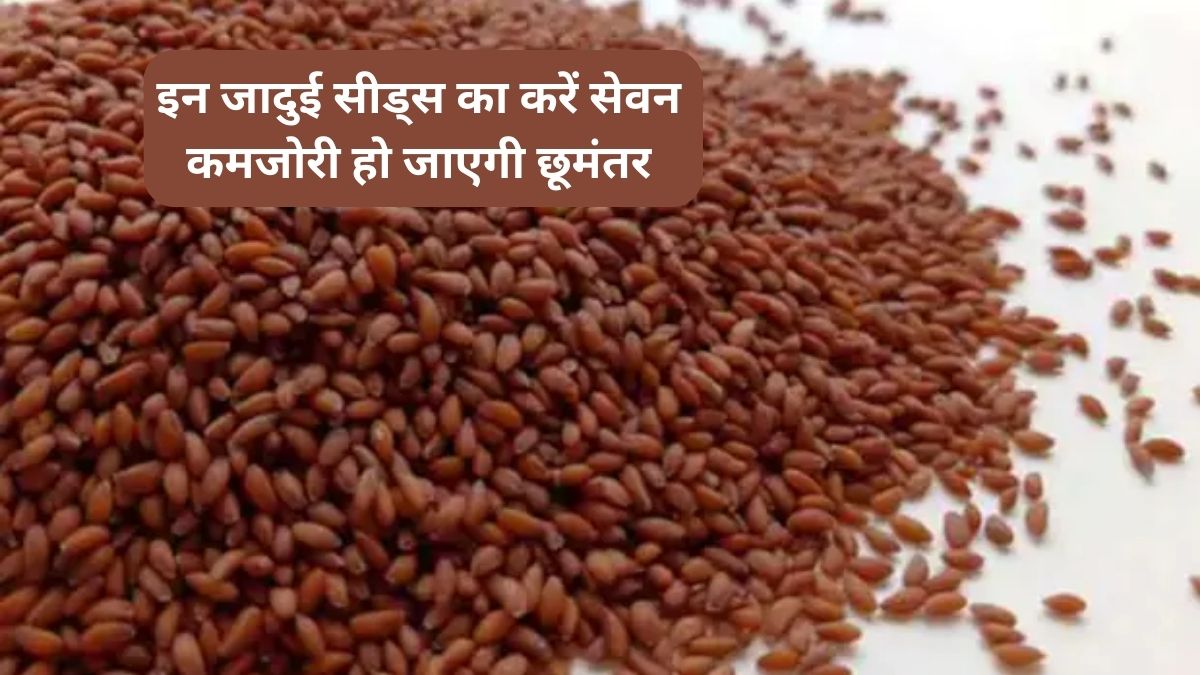 amazing benefits of halim seeds for women health, garden cress seeds ...