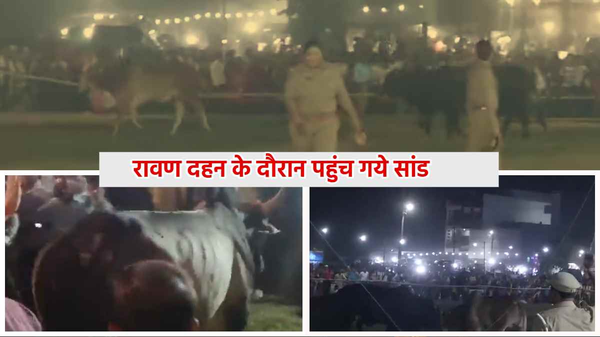 रावण दहन के दौरान घुस गए सांड, जमकर मचाया उत्पात; अखिलेश यादव ने वीडियो ...